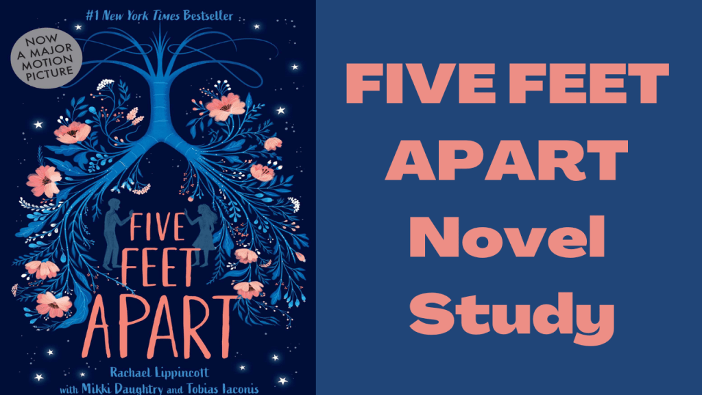 Five Feet Apart Rachael Lippincott in the Classroom - Teacher For Inclusion